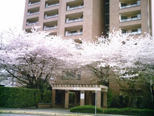 Baillie House, Retirement home, Maple Ridge, BC, Senior Living Housing Care